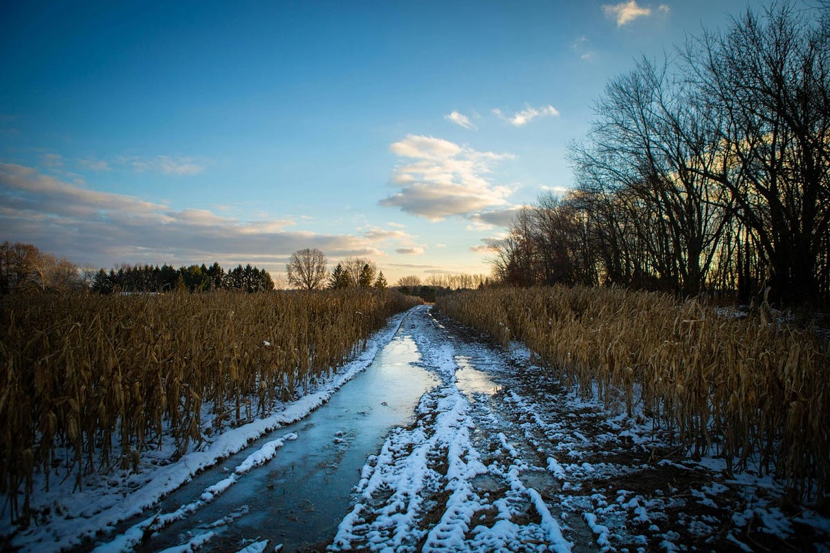 Do Not Take the Muddy Road. You won’t enjoy the nature | by Utpal Kumar | Blue Insights | Medium
