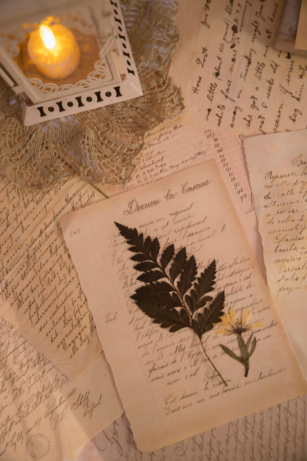 Introducing Our New Prose Poem Competition Judge | by Denise Larkin, B ...