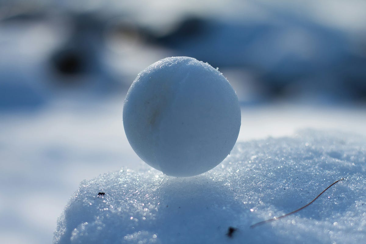Snowball - Graybeard Musings - Medium