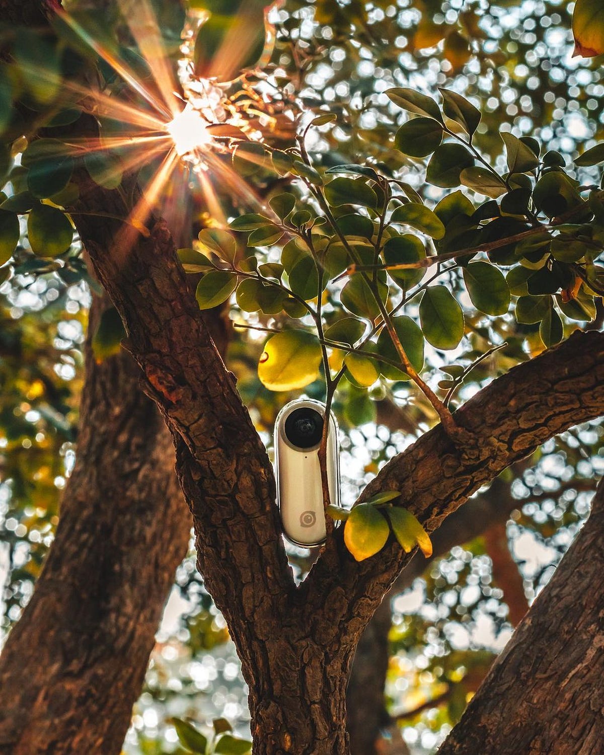 Unlock the Magic of Blink Video Doorbell and Mini Camera Combo | by ...