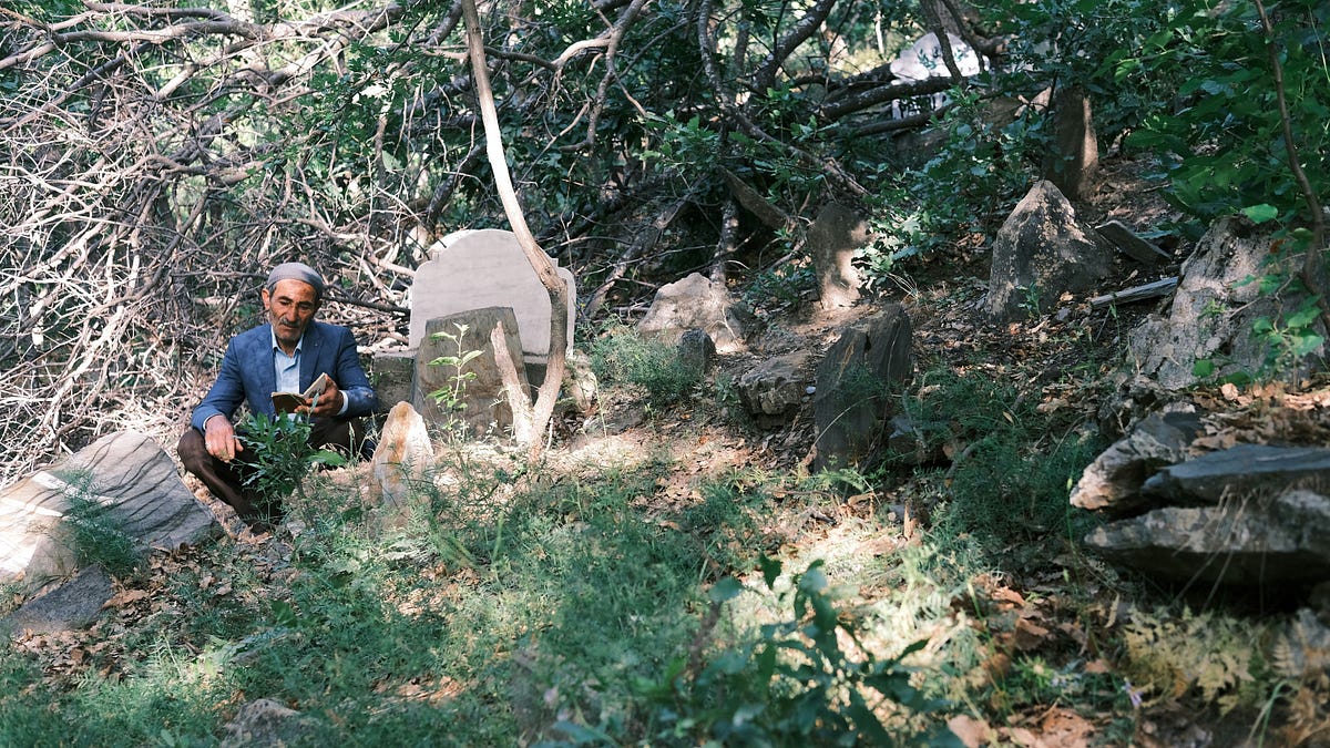 Why Embracing Our Wild Self is Key to Earth’s Survival and Human ...