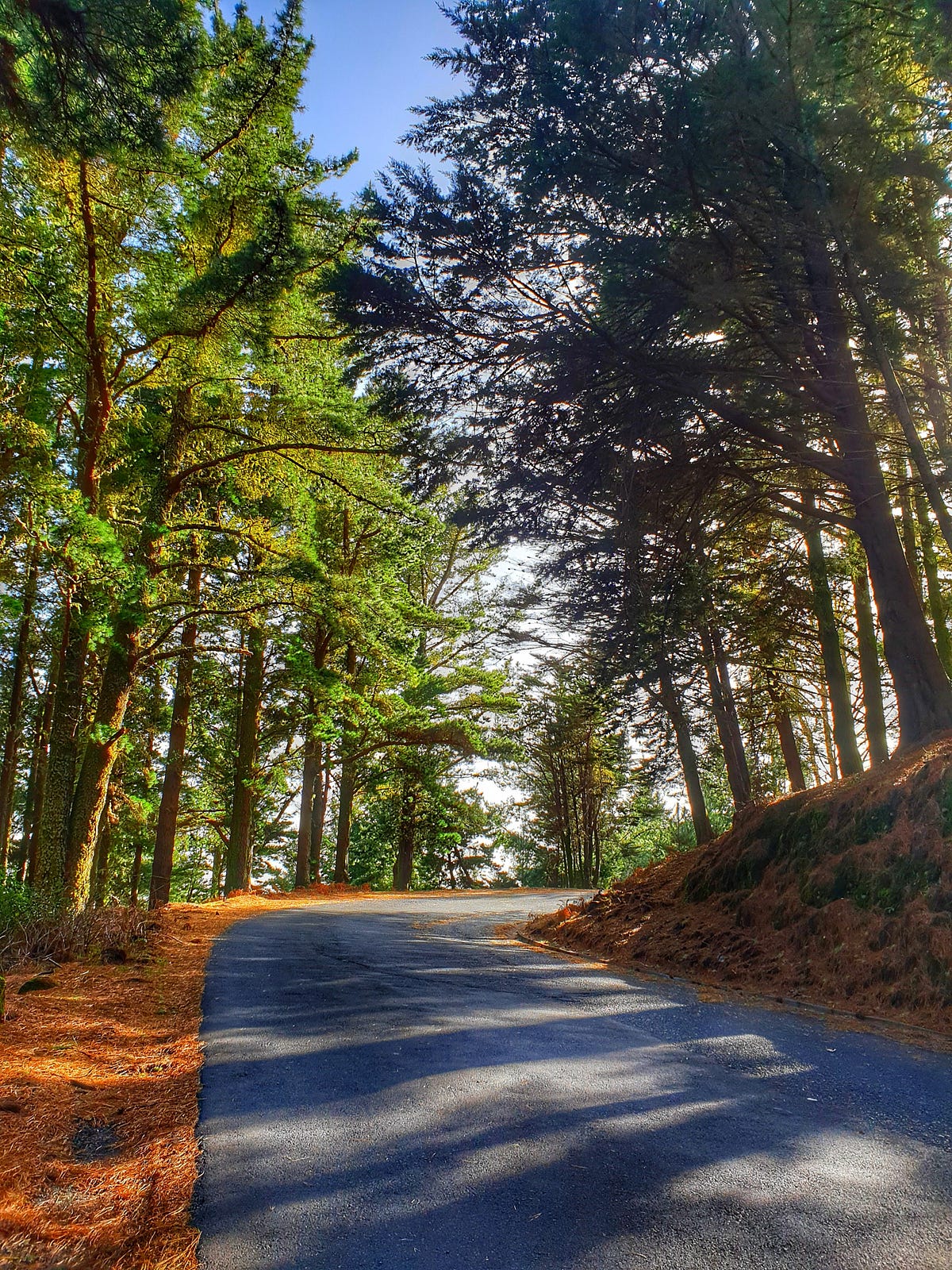 Open Wound | a poem & how I handle negative thoughts | by Hanna Masen ...