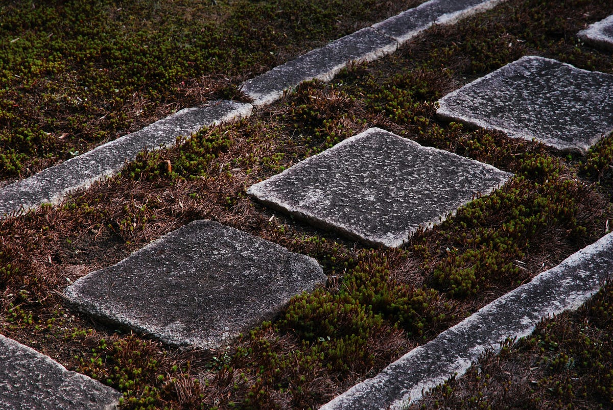 Every Medium Story You Write Is a Stepping Stone. Here’s Why. | by Noah ...