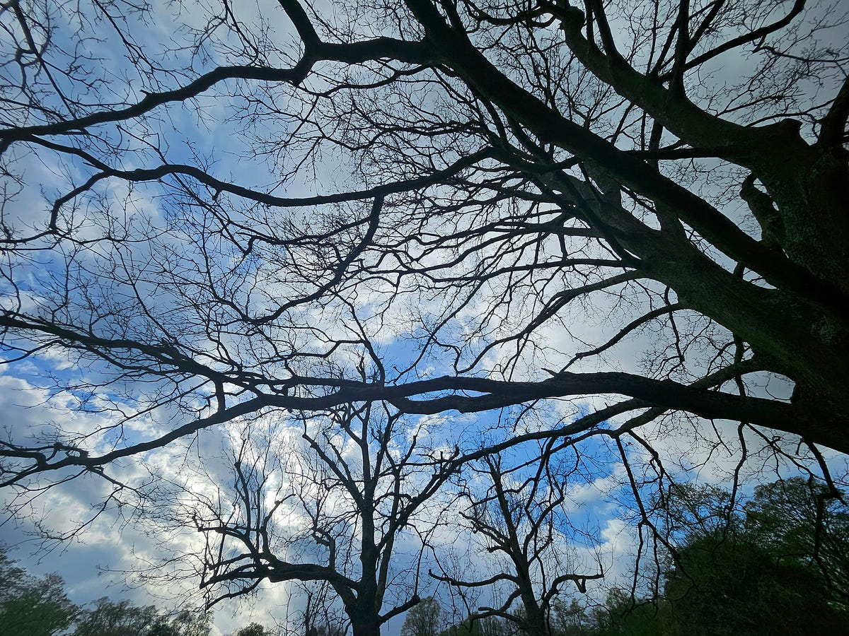 Seeing Beyond Preconceptions and discovering the Unseen | Reflection ...