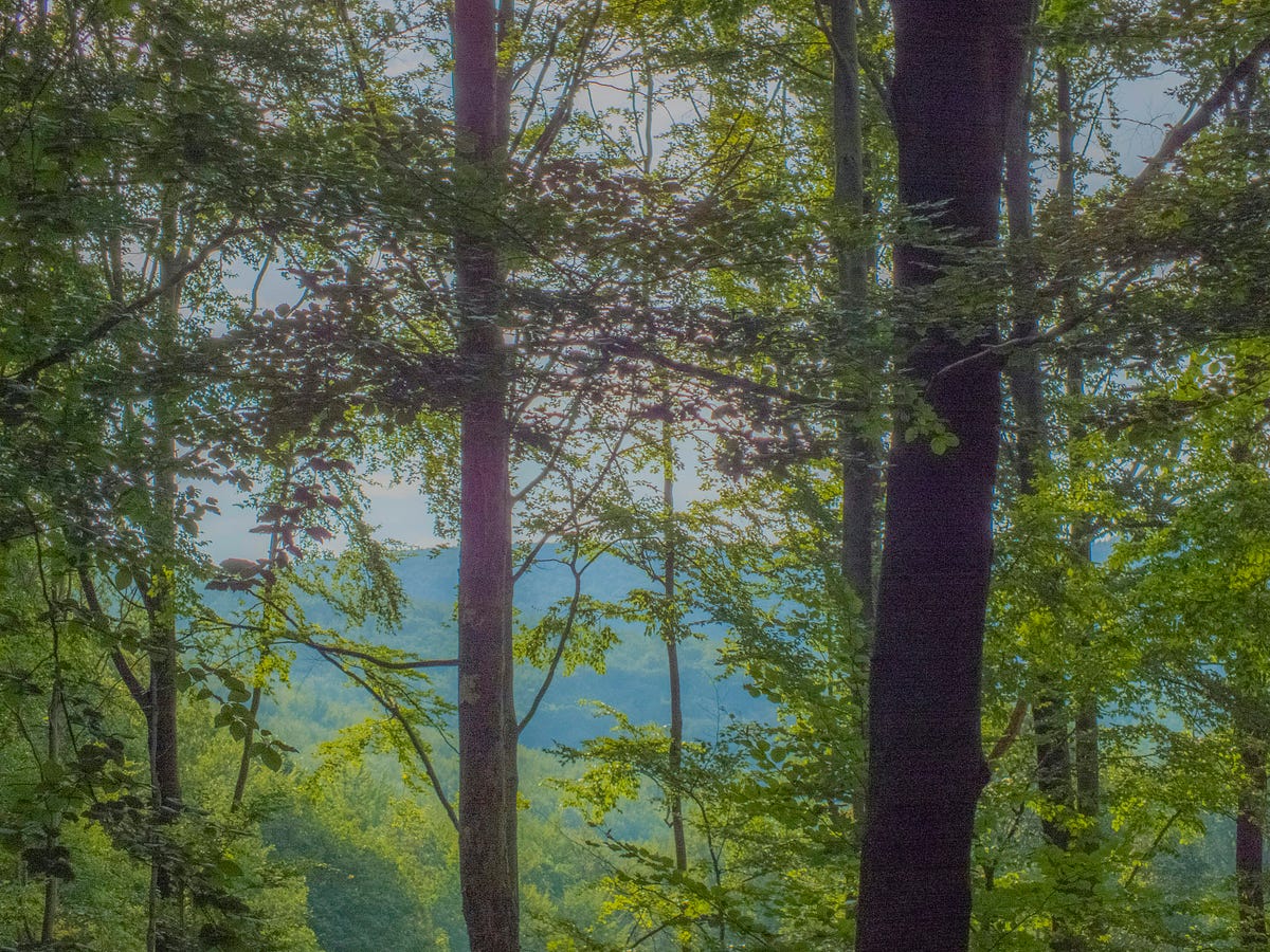 Mastering Golang’s Concurrency and Memory Management: GMP, Garbage ...