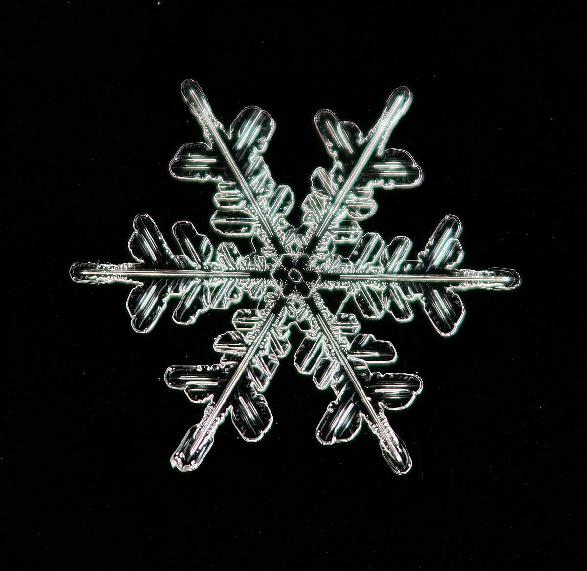 Snowflake Physics: How Two Snowflakes Can be Identical (Almost) | by G ...