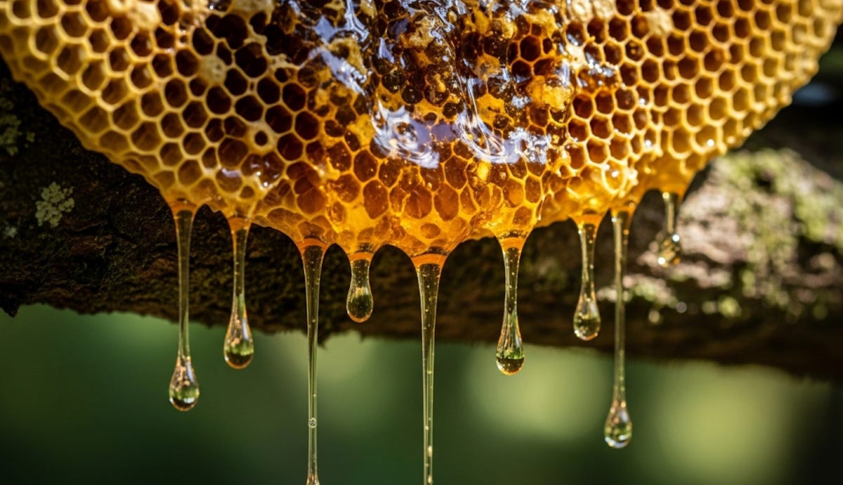The Rarest Honey in the World: Where It Comes From and Why It’s Unique ...