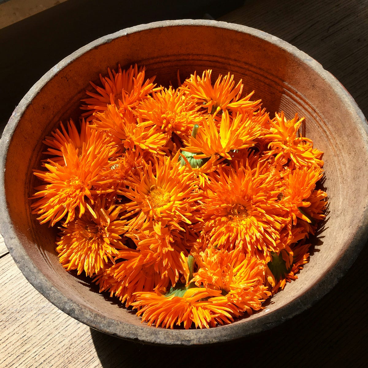 Calendula Magic. DIY skincare with calendula, chamomile… | by Dr. Sara ...