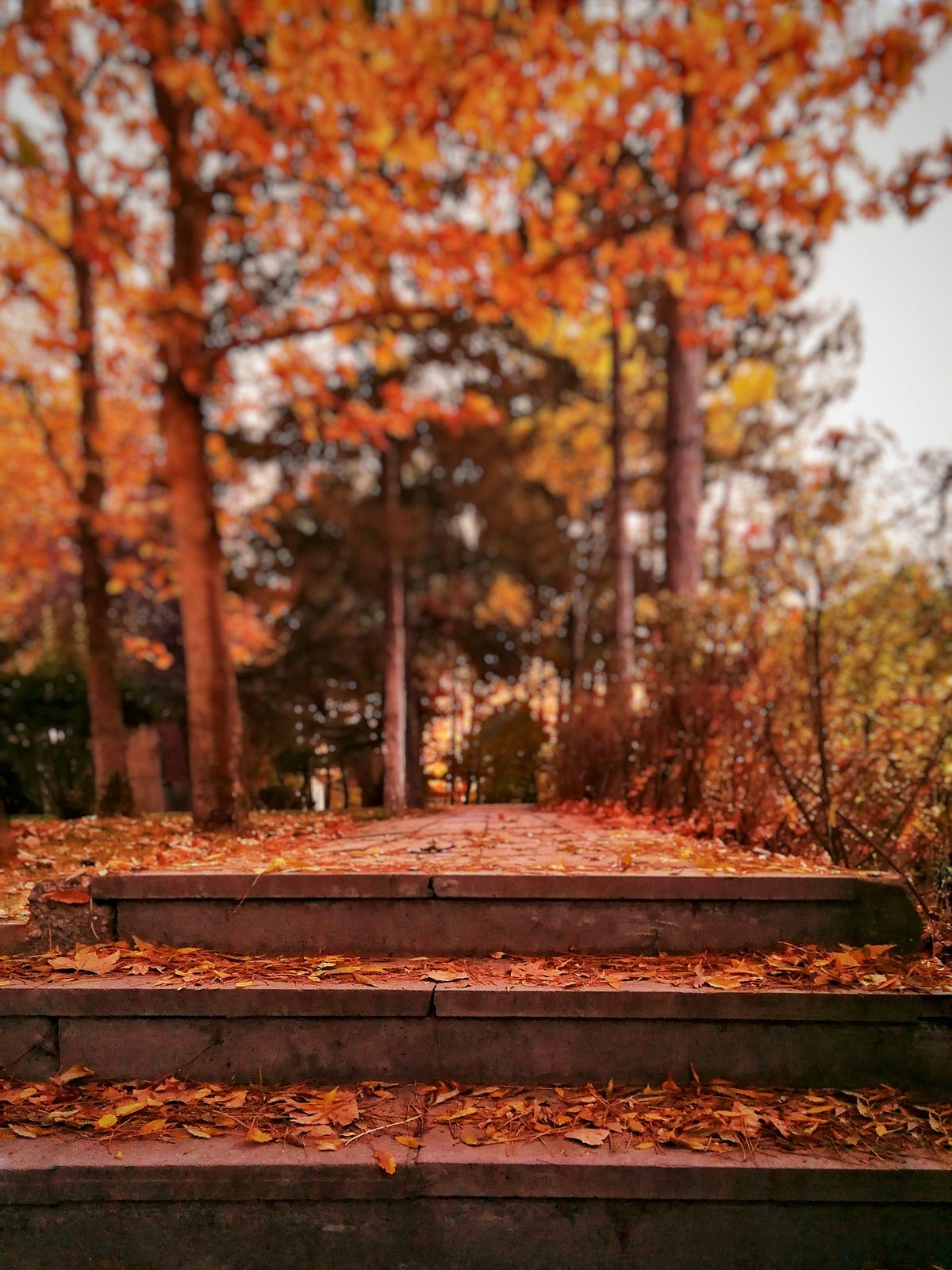 JANJI DI UJUNG ALTAR - Meja Sajak - Medium