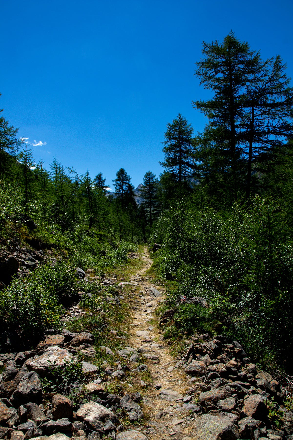 When the Heart Rebels. Letters from The Lone Path Home | by ૐ Mantralayam Srinath | Medium