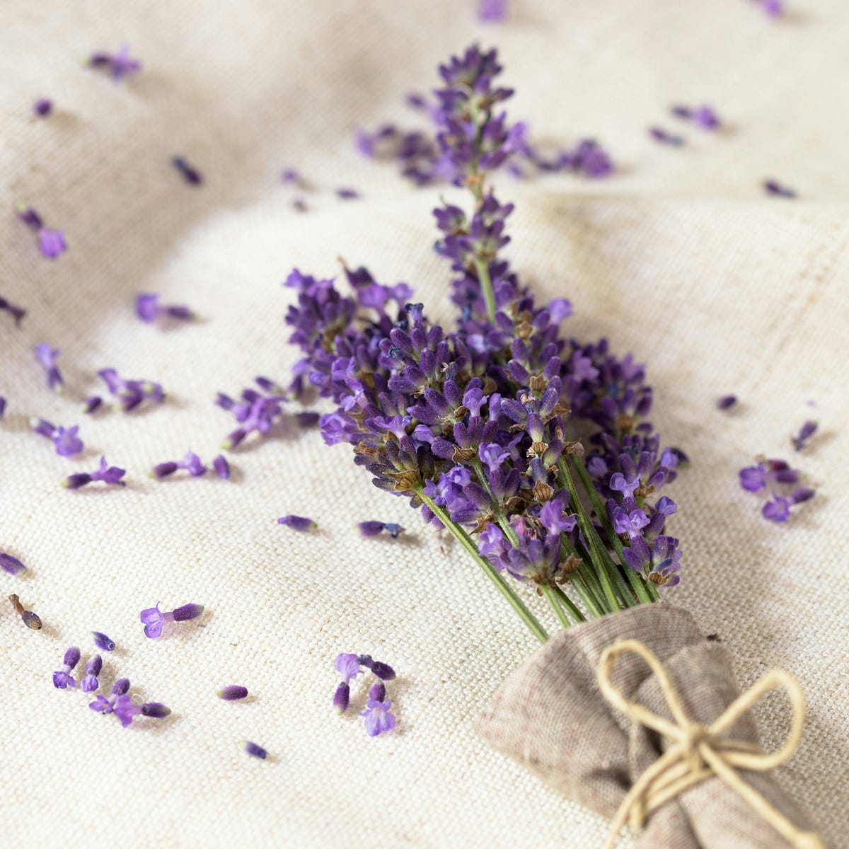 How to make lavender deodorant: Ingredients: 1/2 cup coconut oil 1/4 ...