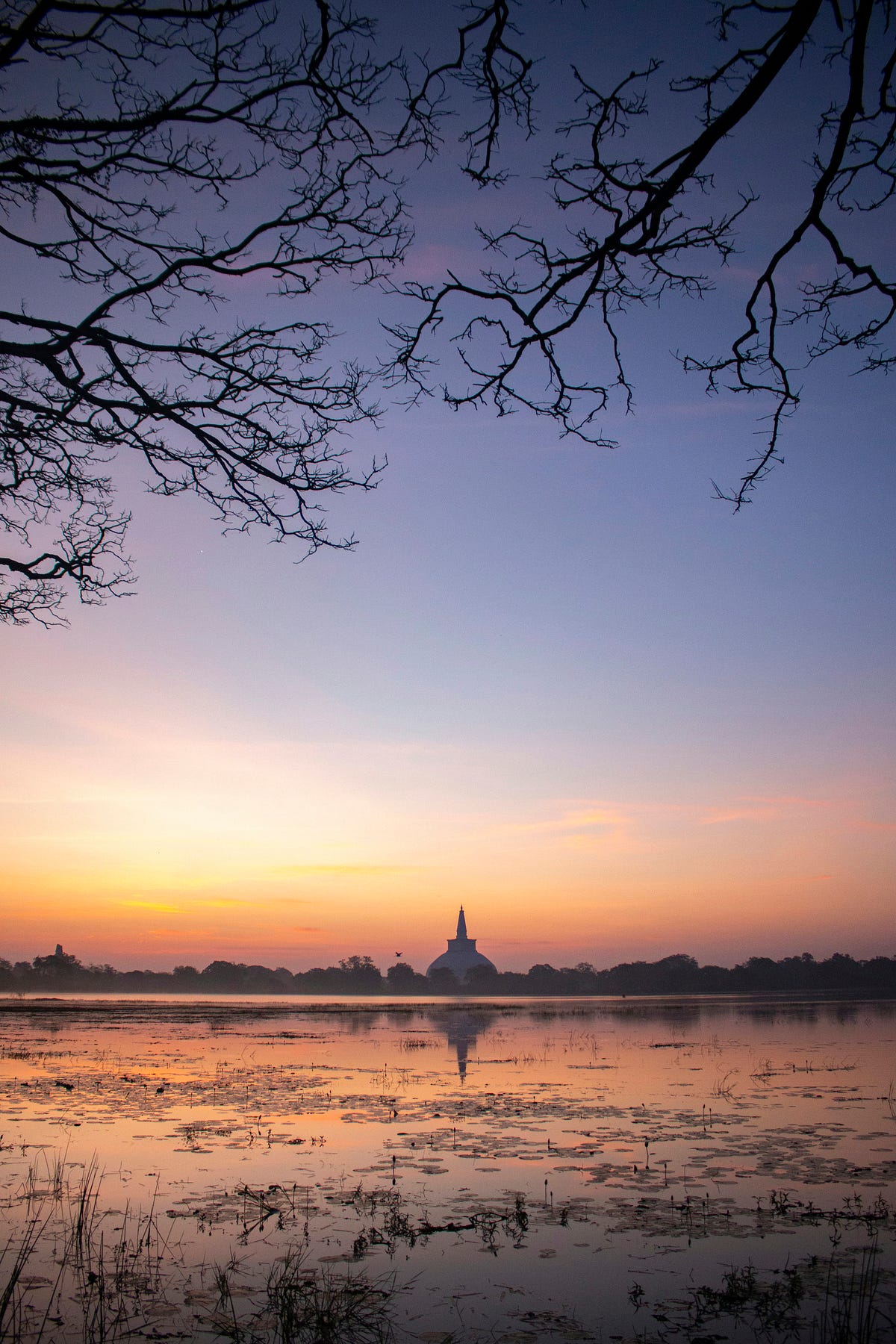 Anuradhapura. A white dome hailed as the crown jewel… | by Hashan & Snowy | Feb, 2024 | Medium