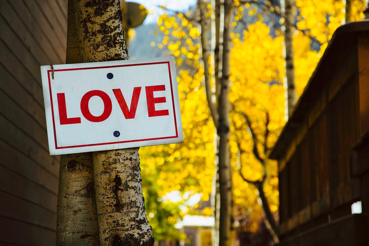 The Meaning Of Love. And How It Feels To Be Loved | by Cody Wiles | Dec, 2024 | Medium