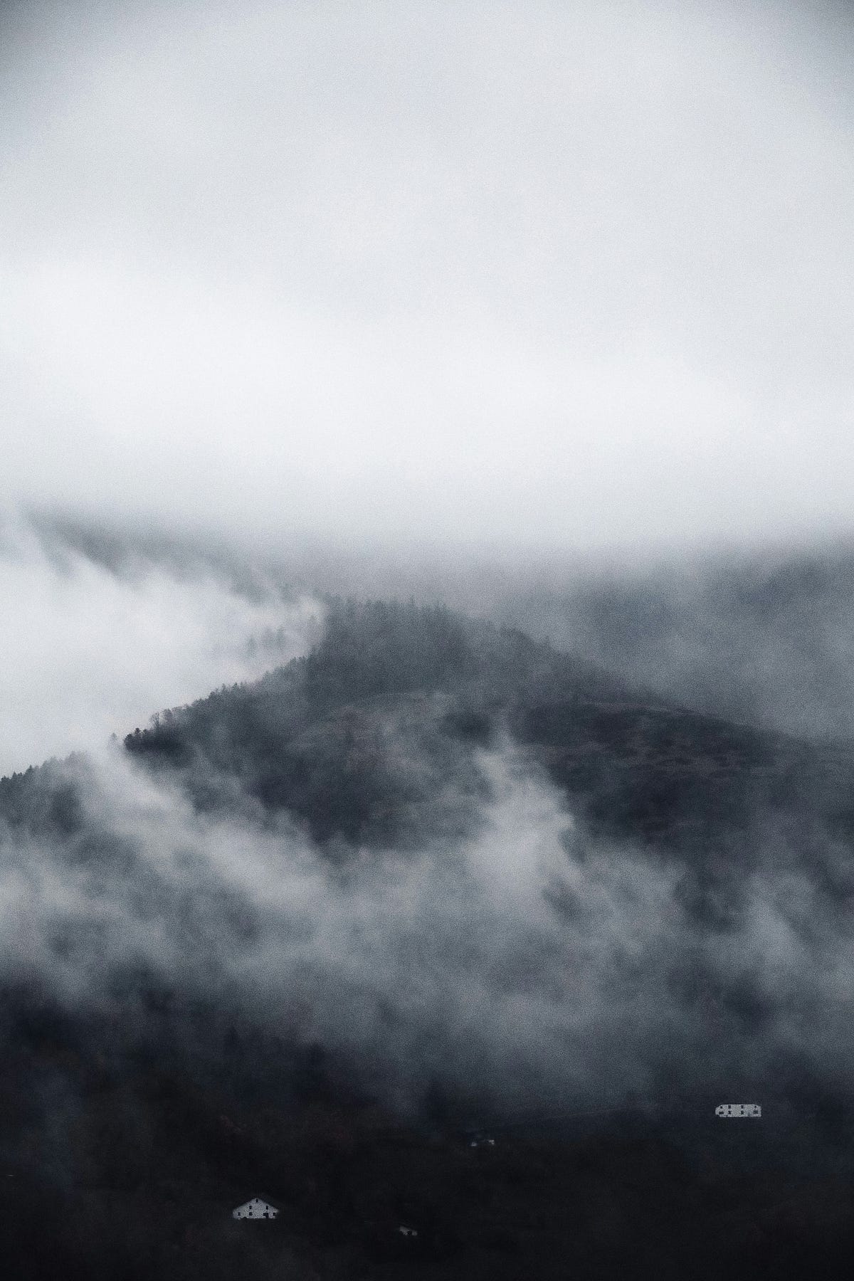 AN ETHEREAL WEAVE. ON A MISTY MORNING | by Geraldine | A Taste for Life ...