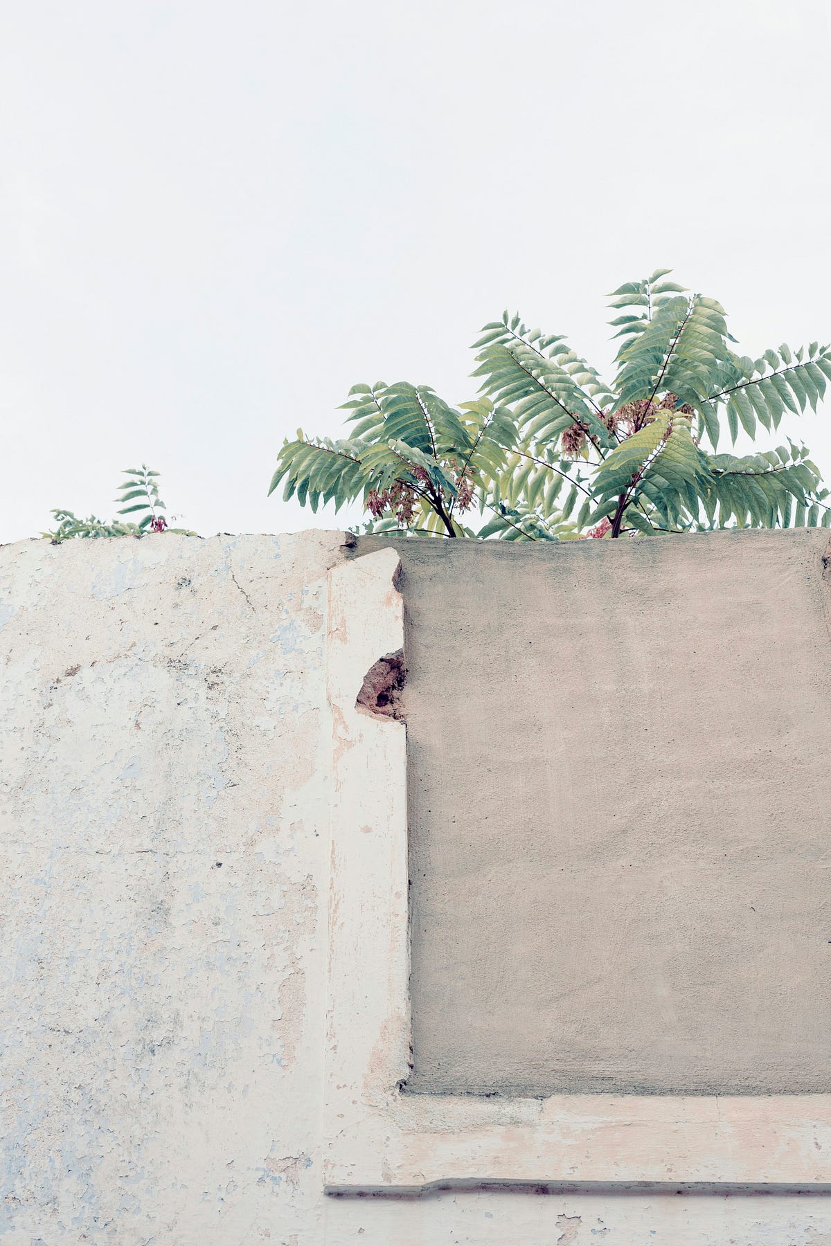 Spray-Painted Monotony. Lately, I’ve been going back… | by Isha | May ...