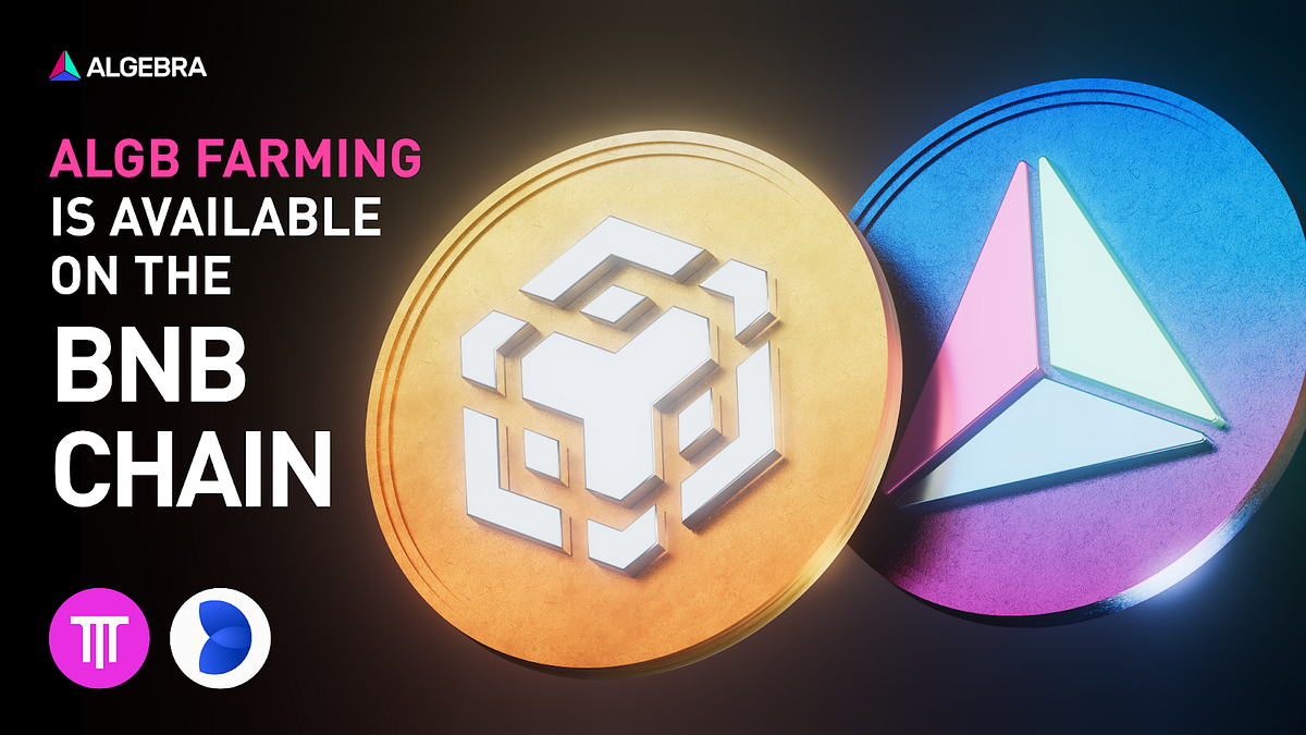 It’s a Wrap: ALGB is Available for Farming on BNB Chain! | by Algebra | Medium