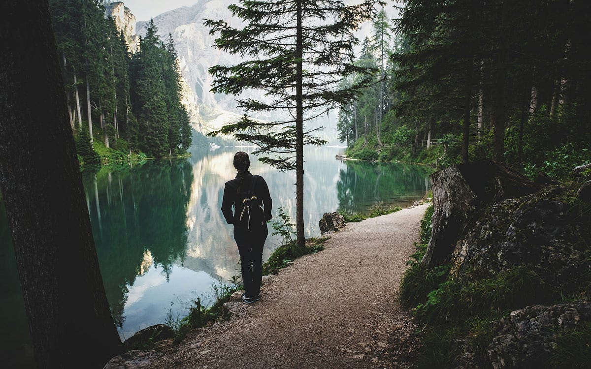 The Simpleton. According to folklore… | by Ilexa Yardley | The Circular ...