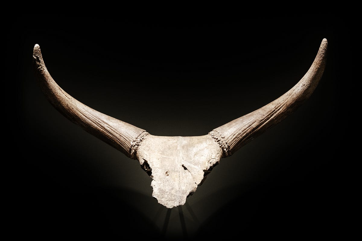 Design “Artifacts”. The words “design artifact” appeared on… | by Rania ...