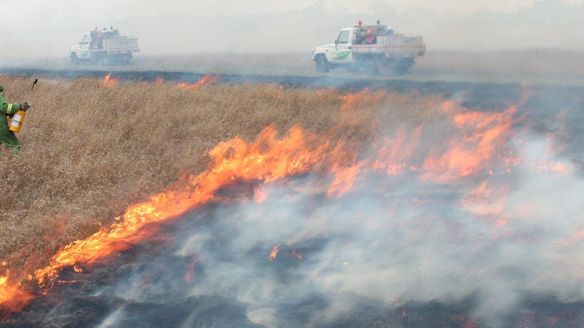 Don’t become a slash-and-burn digital nomad. Build sustainable micro-lives instead. | by Freddie ...