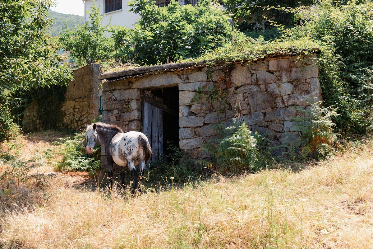 4 Things I Learned After 4 years in France | by Allison Sacleux | Jan, 2025 | Medium