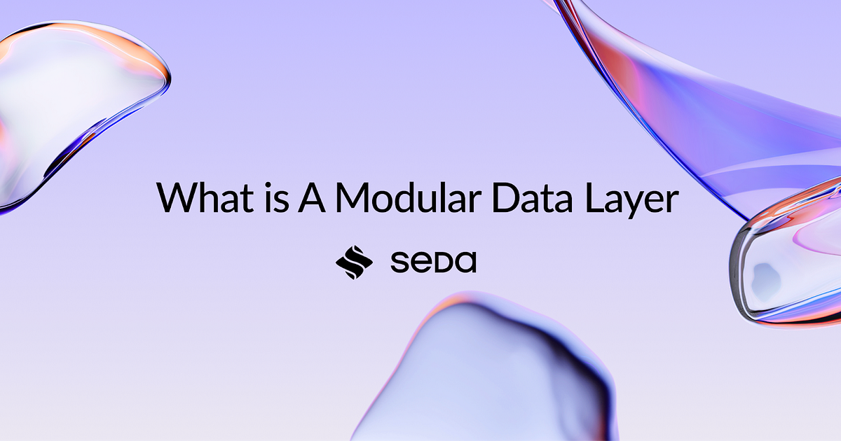 What Is A Modular Data Layer with SEDA? | by SEDA | Medium