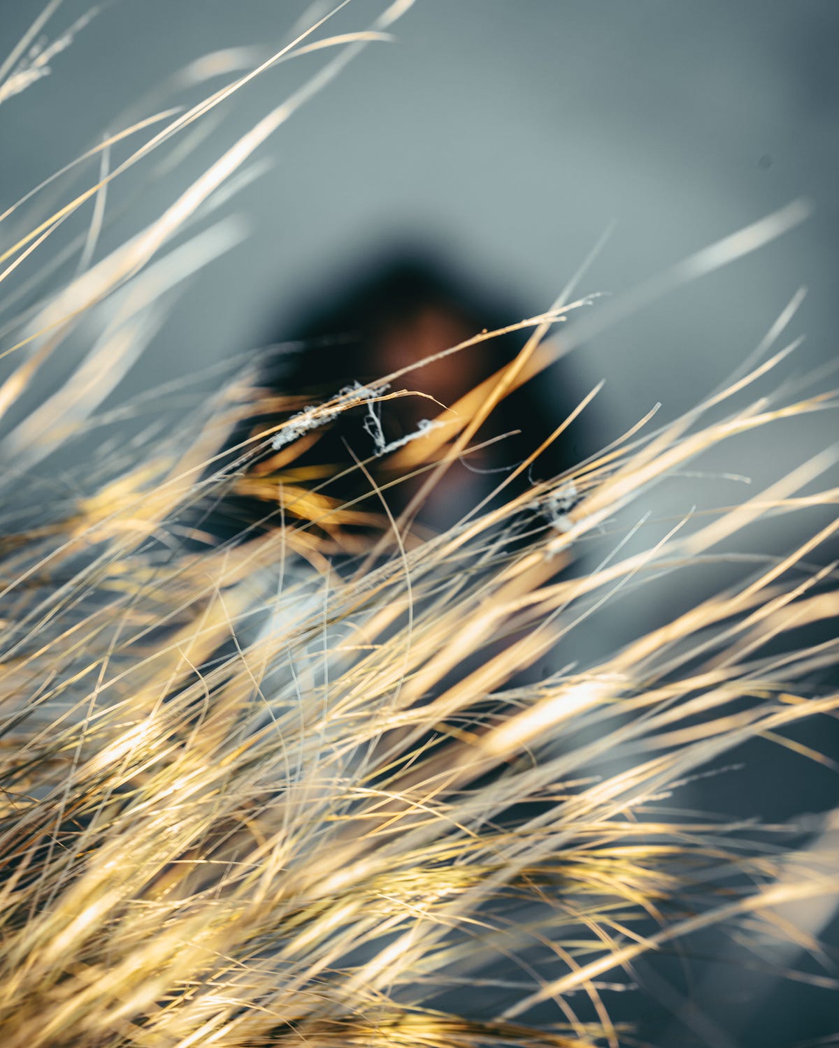 The Song Of The Wind - Invisible Shadows - Medium