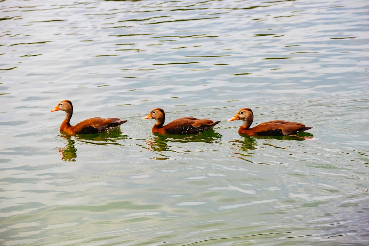 Do All Bad Things Come In 3's?. After a run of bad luck, I wondered if ...