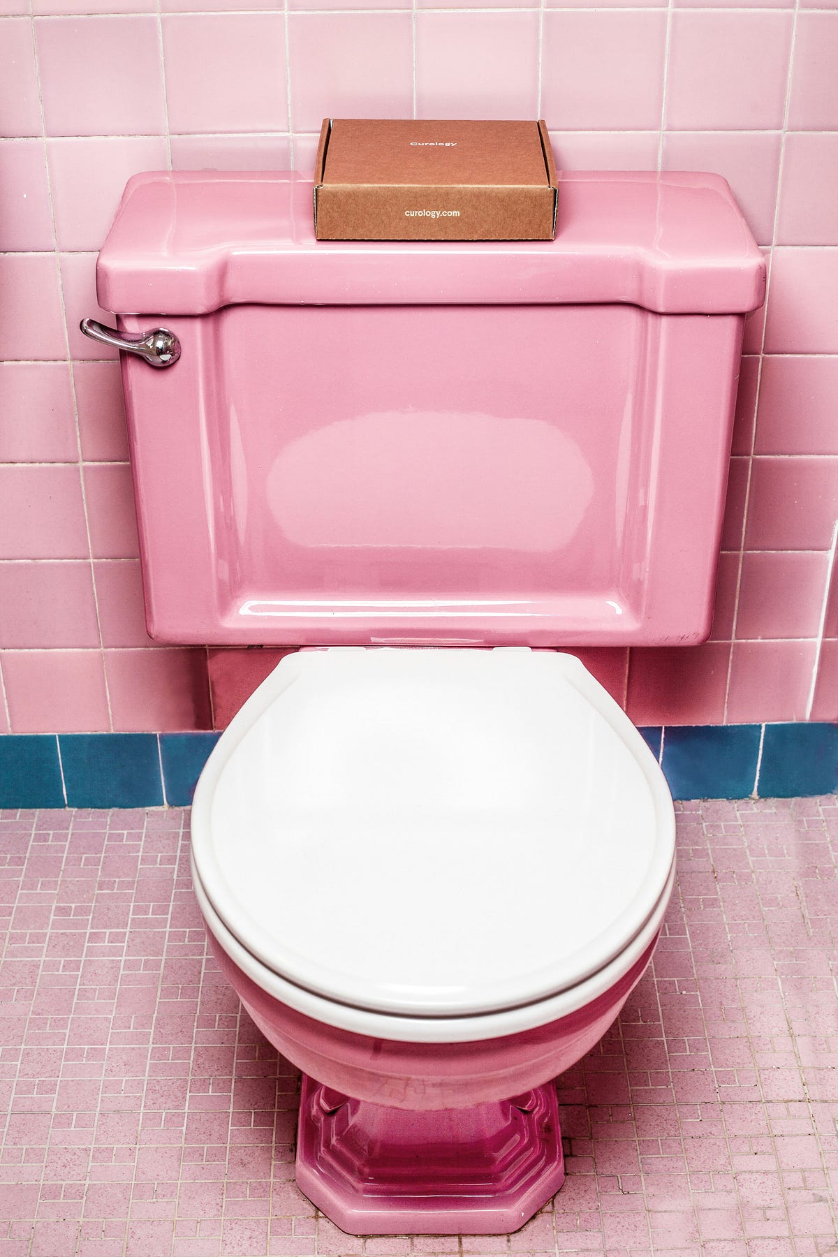 Simon Says Sit. There’s something about staying in a… | by Lysa Cohen ...