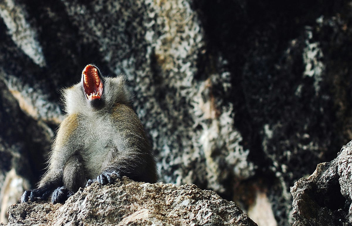 My ‘Ultimate Journey’ Has a Rocky Start | by SC Thompson | bloody sweet ...