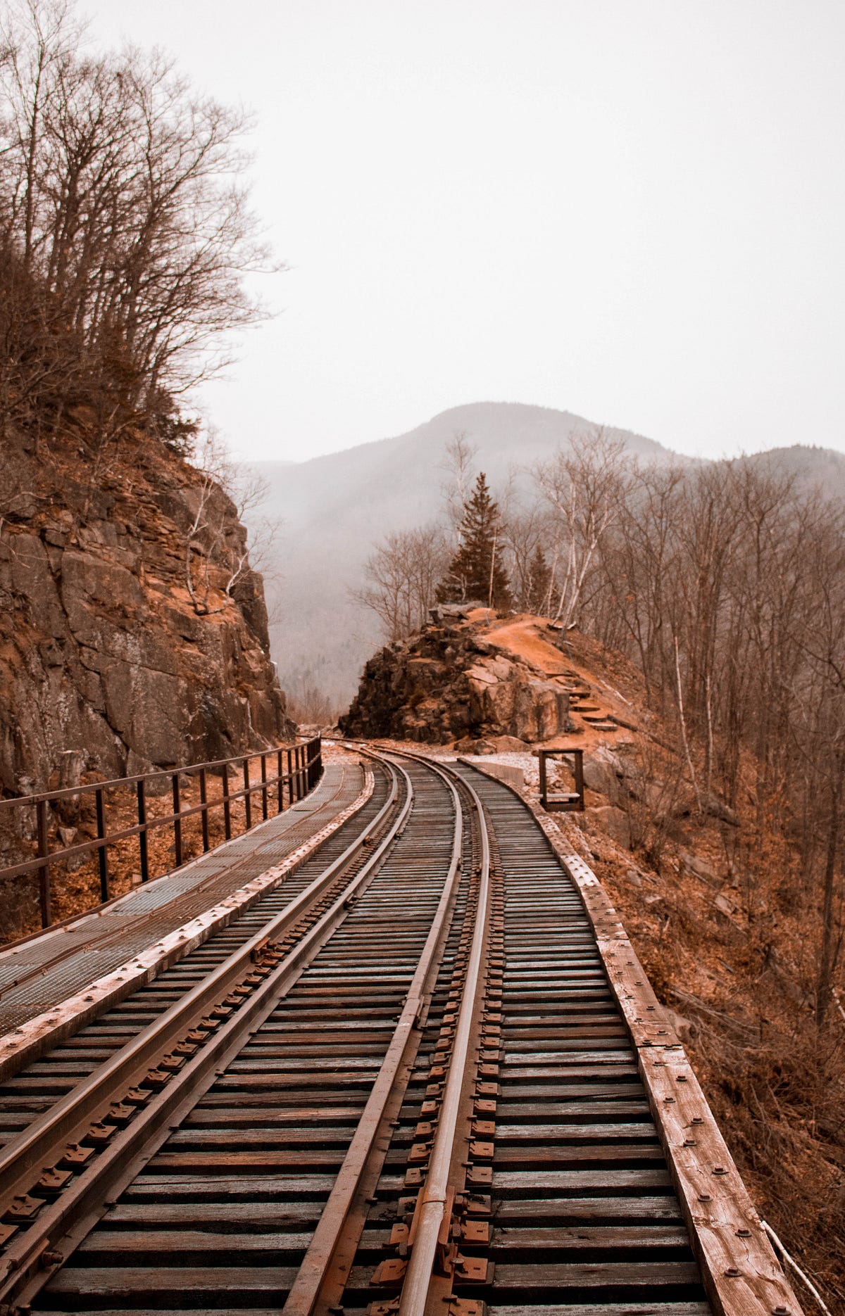 Using generics in Go. Generics were introduced in Go a few… | by Pedro ...