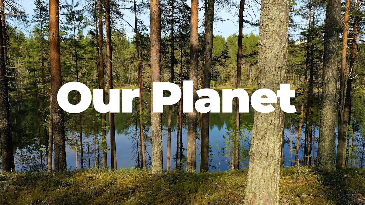 The Beauty and Diversity of Our Planet: A Call to Preserve and Protect ...