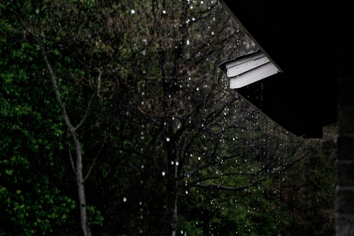 When Rain Smells Like Peace. “Sometimes, the earth cries just to… | by ...