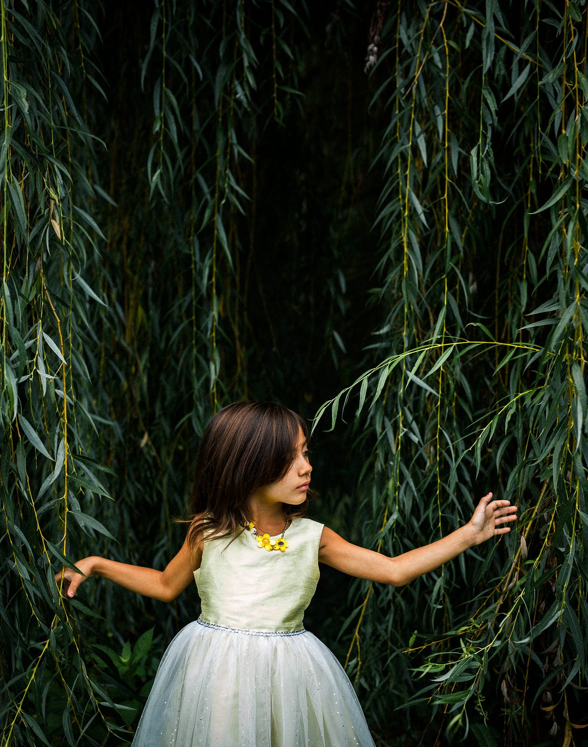 The Girl on the Willow Tree. Poem story | by Giulietta Passarelli ...