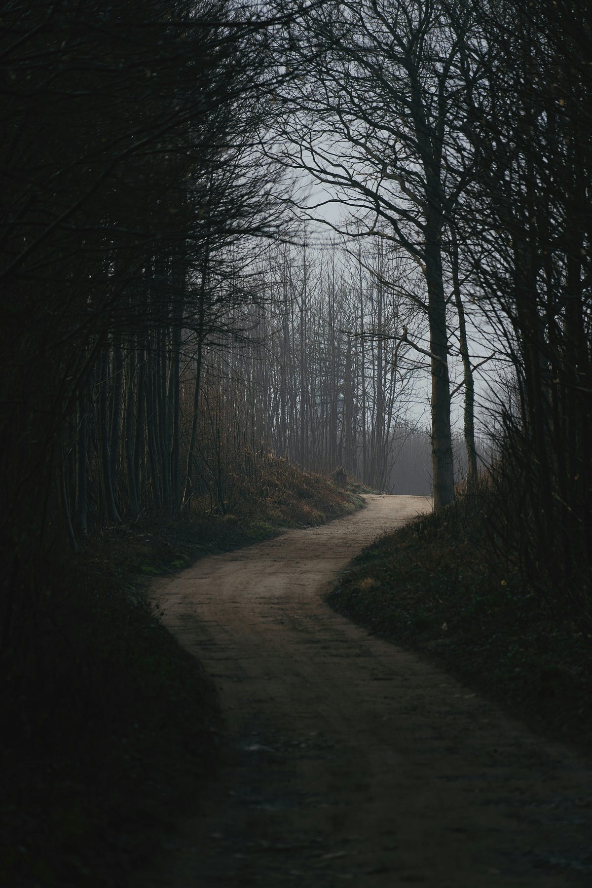 Where the Dead Walk Slow. A poem about regret and the unknown | by ...