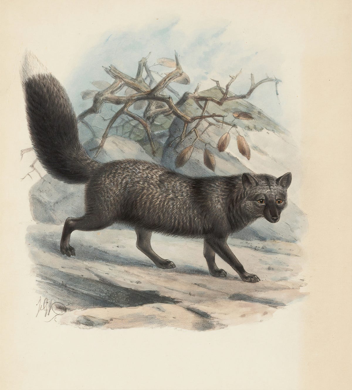 The Boy, the Mole, the Fox and the Horse” by Charlie Mackesy | by ...