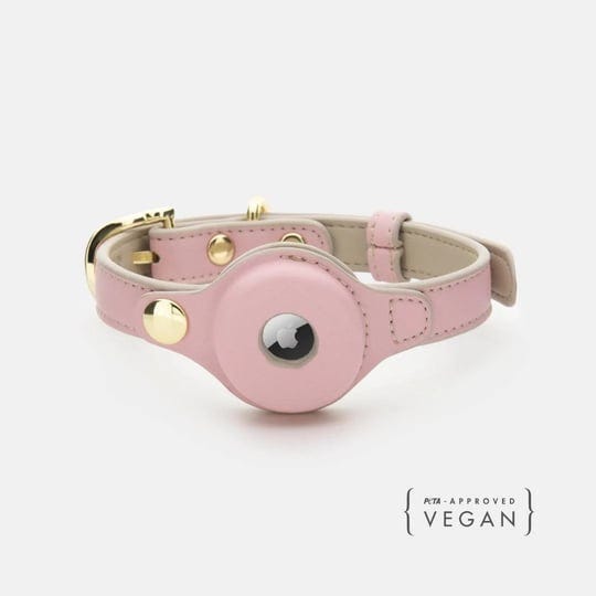 Apple Tag Dog Collars | by Vanessa Gilbert | Jun, 2024 | Medium