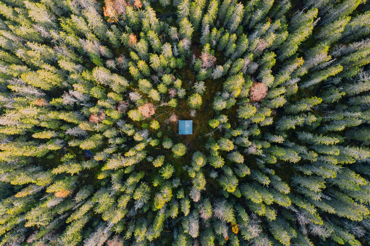 📖 A Deep Dive into Tree-Based ML Models | by Mayur Jain | MLWorks | Dec, 2025 | Medium