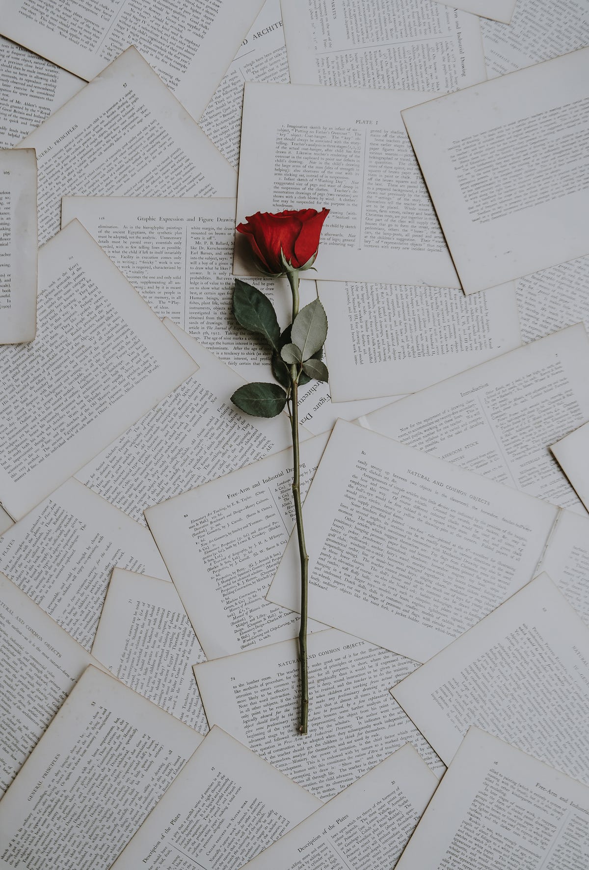 What Some Writing Advice Taught Me About Being Single | by Jasmine ...