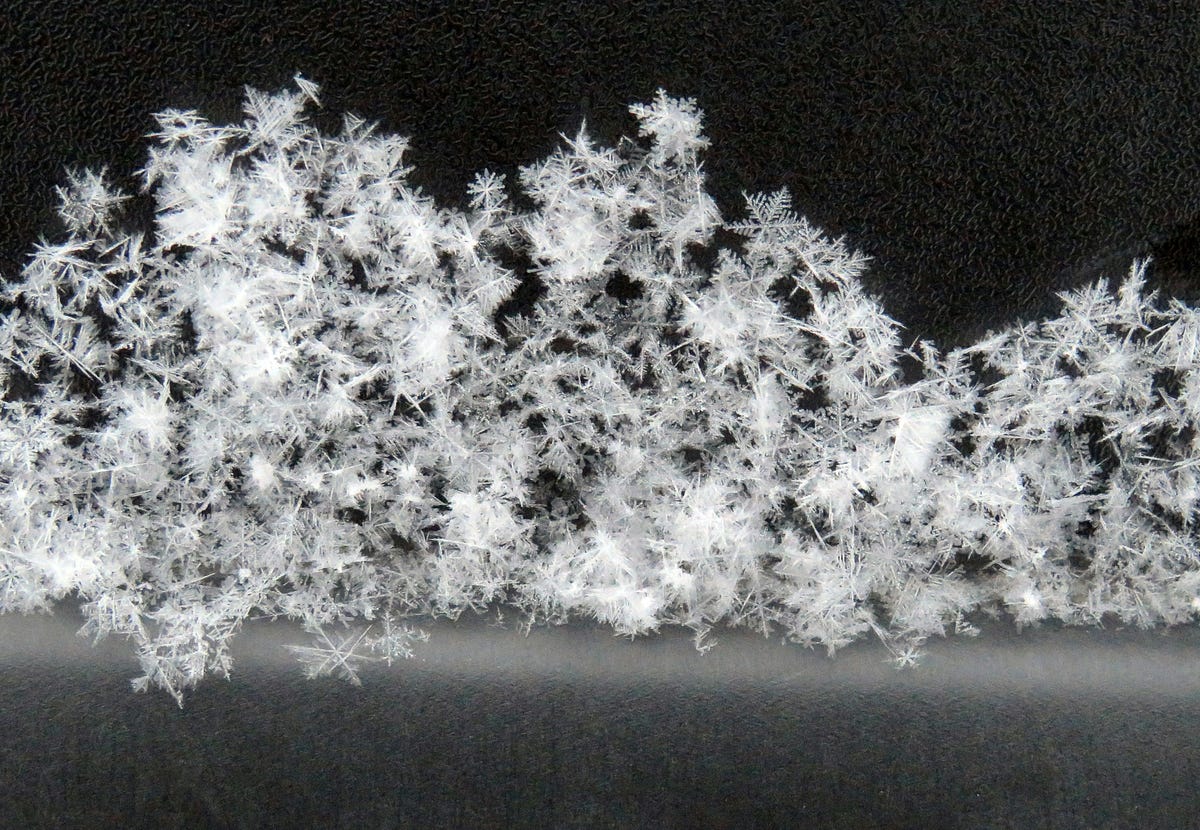 That’s what we are!. Like the snowflakes that fall upon the… | by ...