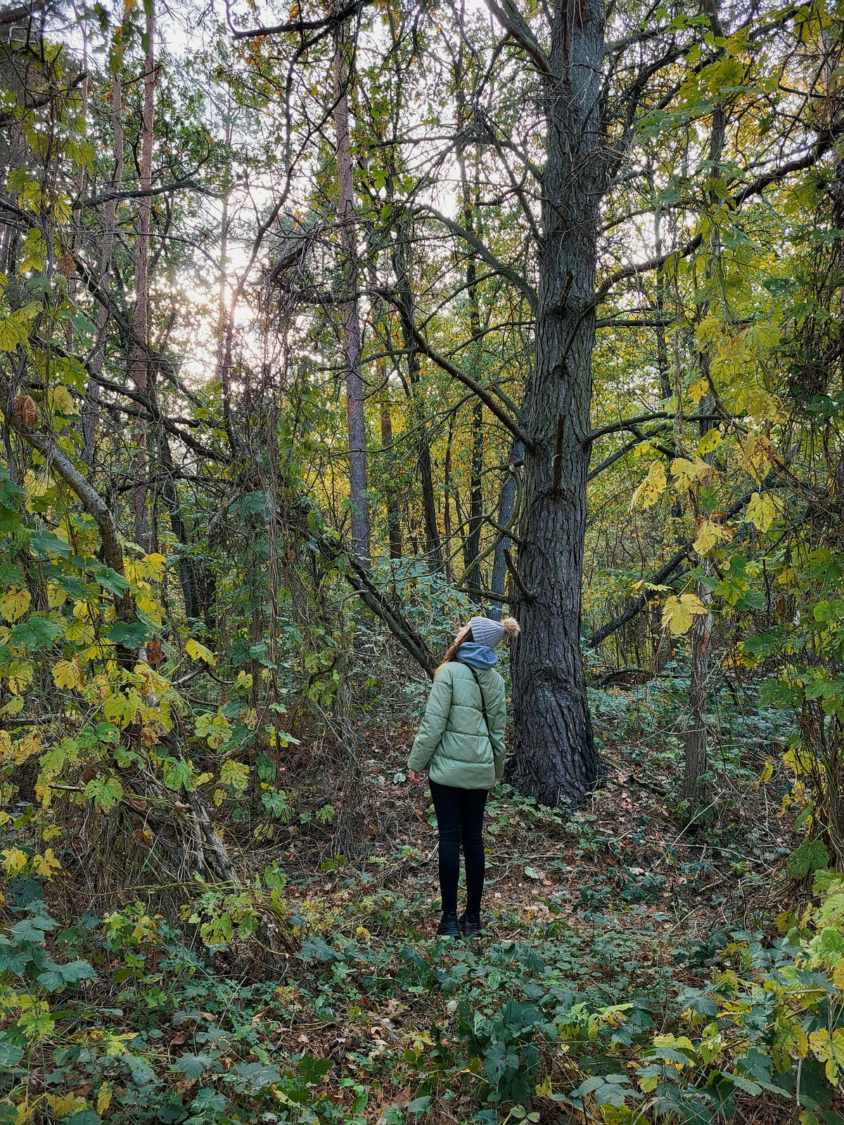 Finding Myself in Walking. How Moving My Feet Helped Me Move My… | by Jessi Brooks | Medium