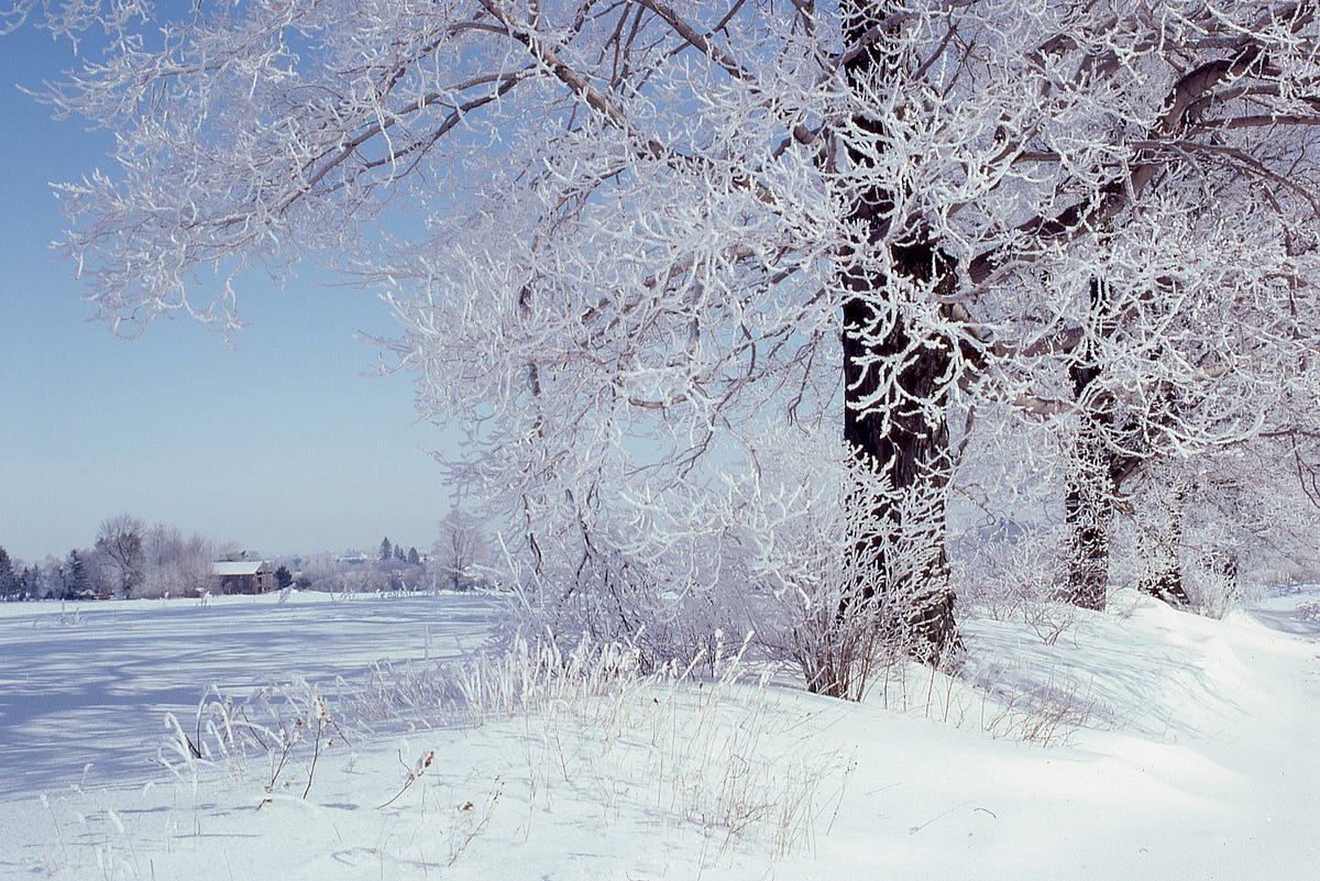 Friday, December 26 to Wednesday, December 31, 1969 | by SFM | Mar ...