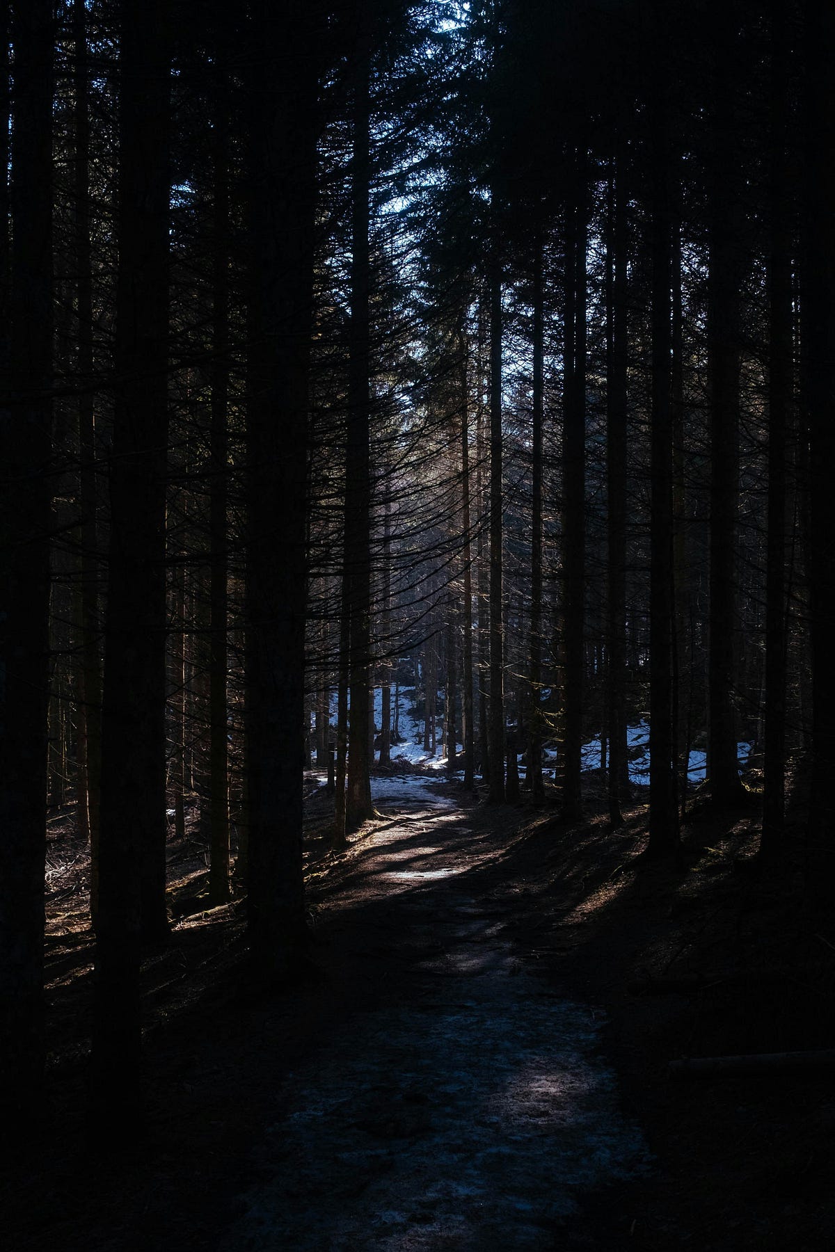 I Followed a DNS Query and Ended Up Somewhere I Didn’t Expect | by ...