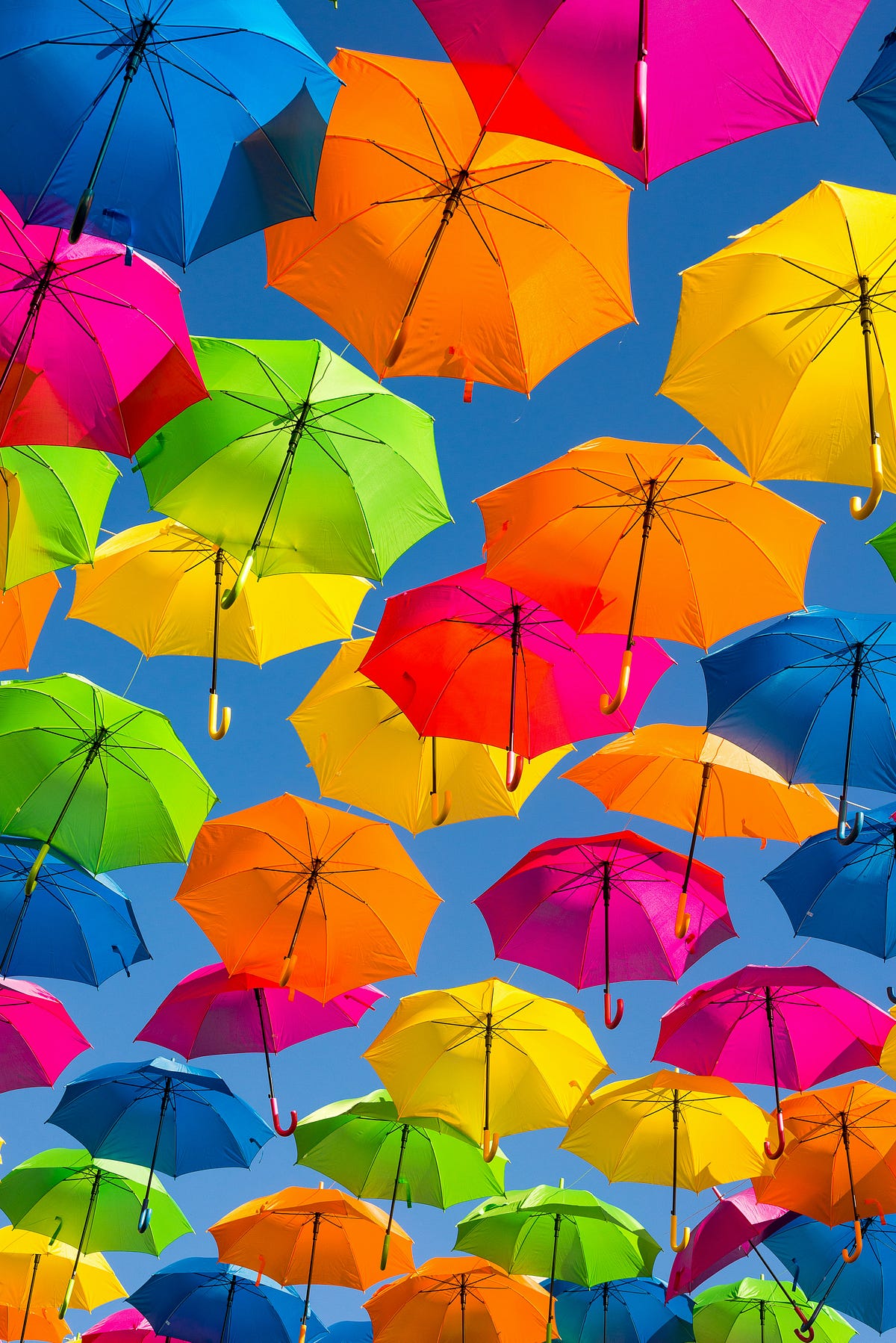 The Art and Science of Umbrella Design: A Study of Form and Function ...