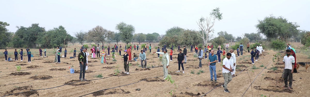 Plant a Billion Tree campaign, large-scale reforestation, environmental ...