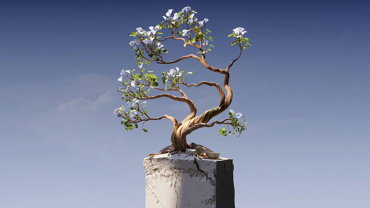 Managing complexity: Shared business logic in Next.js (Part 1: Server ...