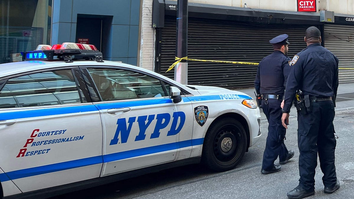 Redesign of Manipulative and Informative Visualizations for NYPD Complaint Dataset | by Eric ...