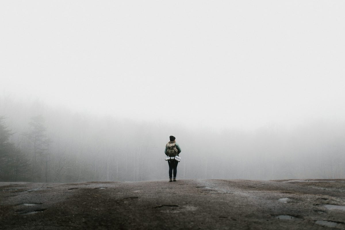 Is It Wrong to Destroy Life if No One’s Left to Care? | by Magnus CF ...