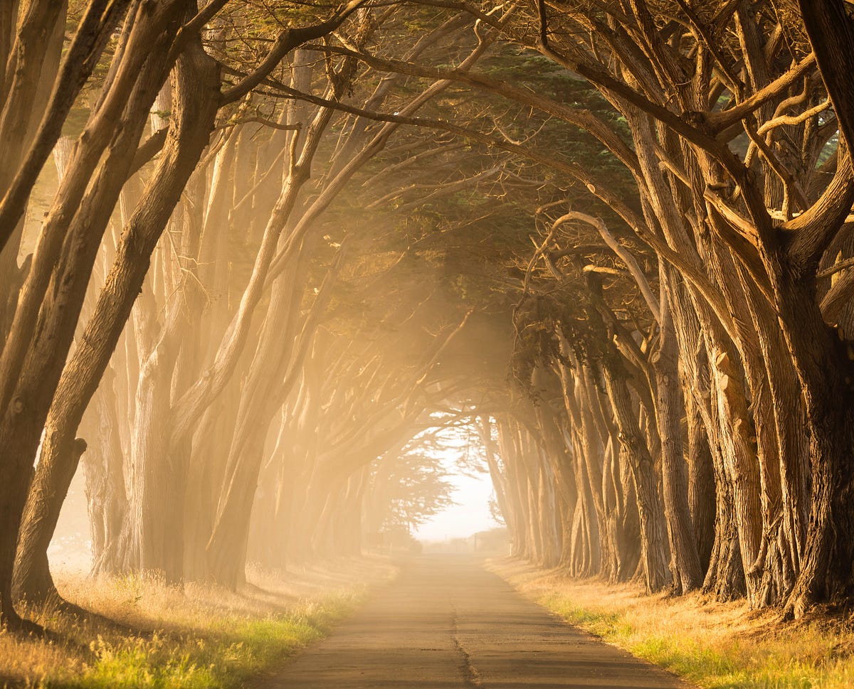 File Path in Alteryx. Why file path is so important in… | by Neal Wang ...