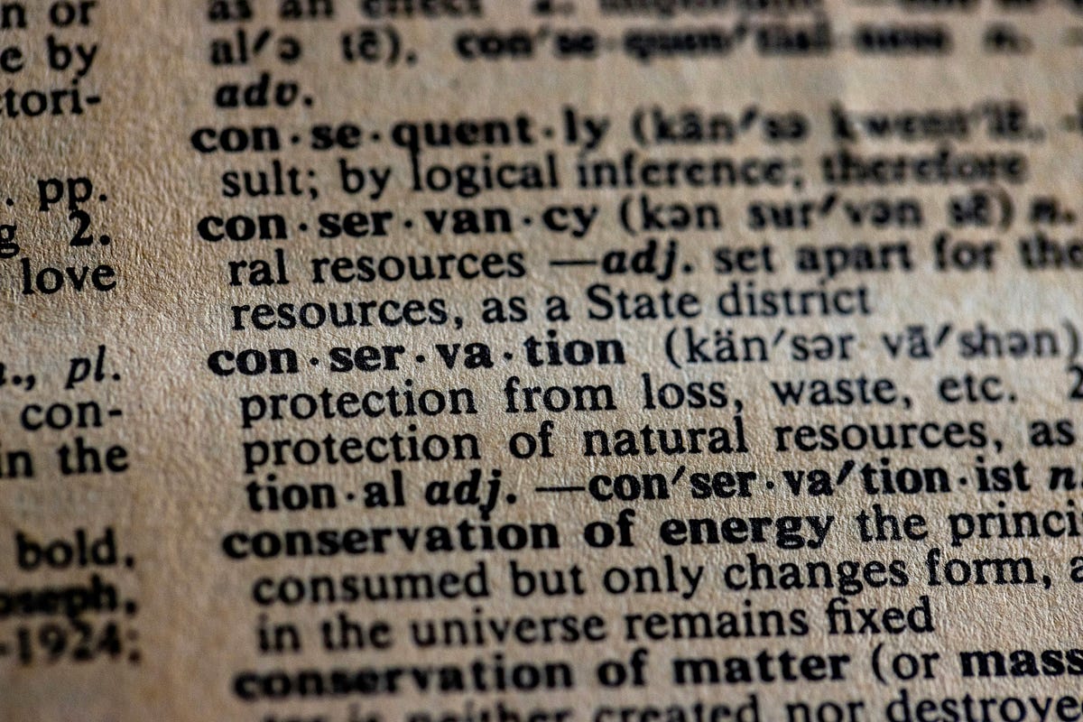 A Lack of Words. Random Thoughts | by Jui Han | Medium