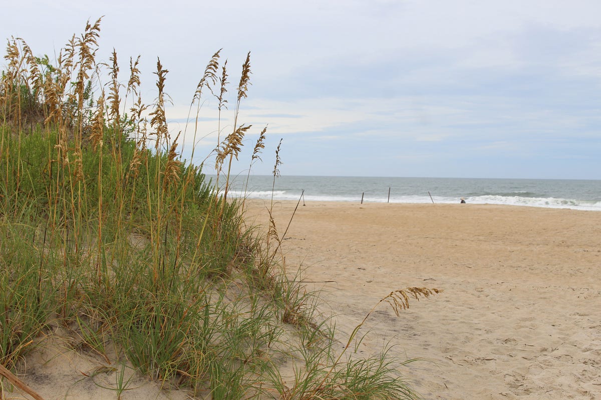 Cape Hatteras National Seashore, North Carolina: A Coastal Haven That ...